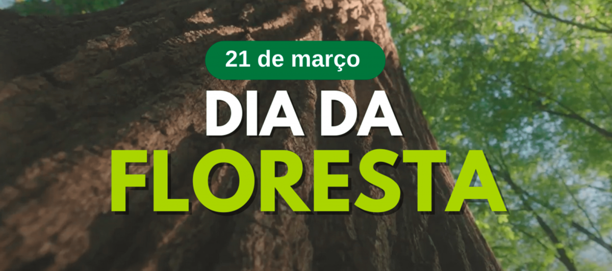 Em parceria com a FAO, Ibá apresenta vídeo para o Dia Internacional das ...