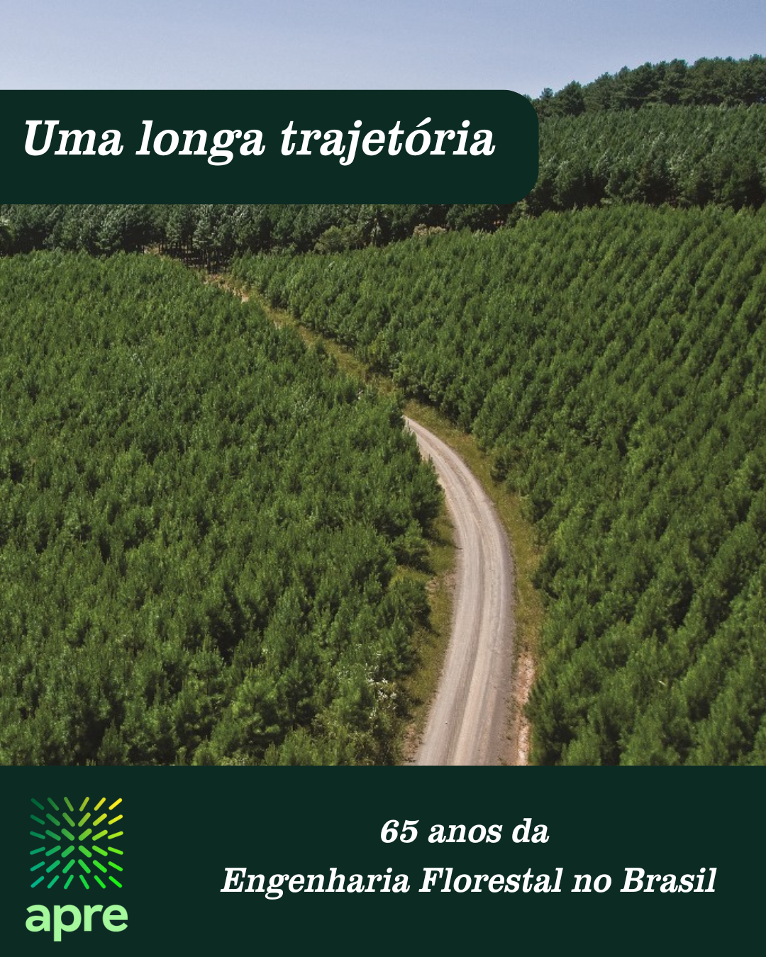 65 Anos da Engenharia Florestal no Brasil: uma trajetória de ...