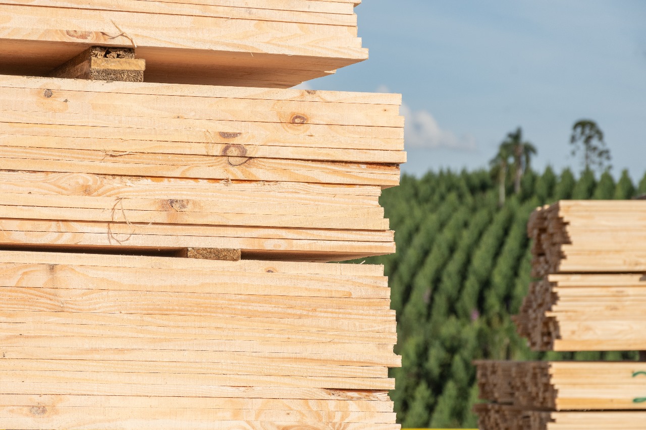 Prêmio APRE Florestas de Jornalismo 2025 divulga finalistas - APRE ...